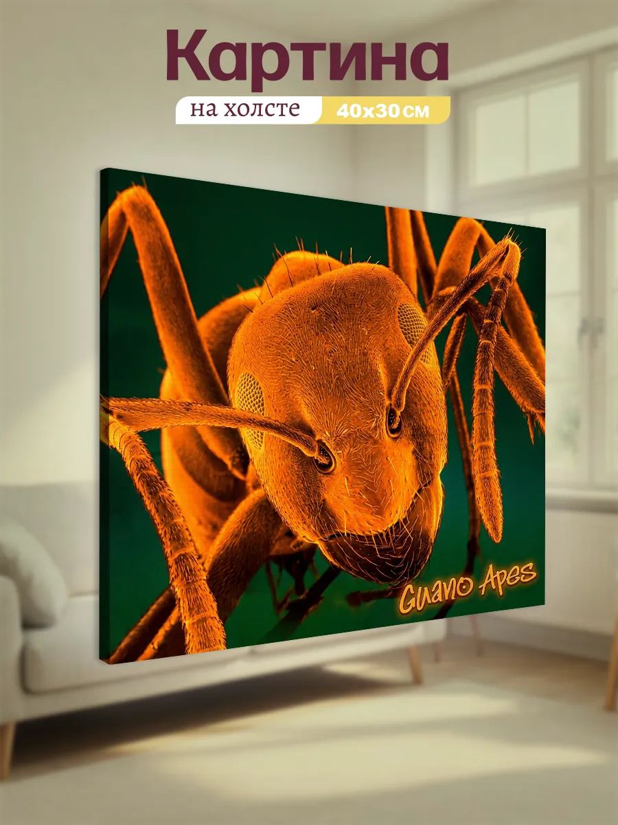 Картина на холсте Guano Apes Гуана Эйпс музыка интерьер