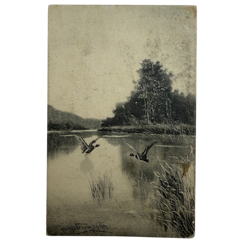 Почтовая открытка "Мюллер - Утки над озером" 1900-1917 гг. Германская Империя