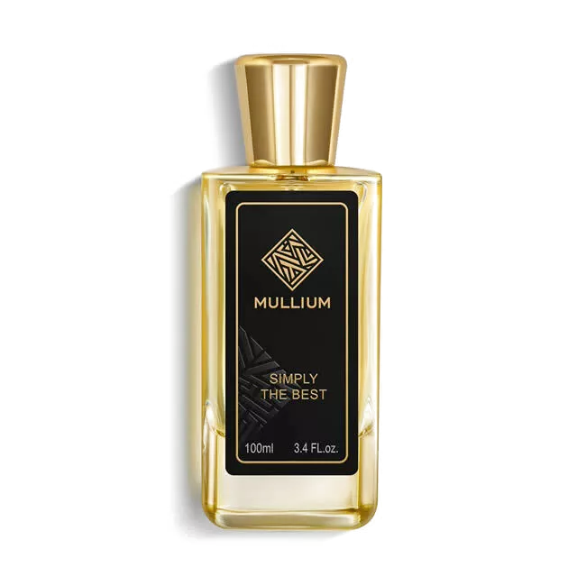Mullium Simply The Best For Men парфюмерная вода мужская 100 мл - Муллиум Симпли Зе Бест Фор Мен