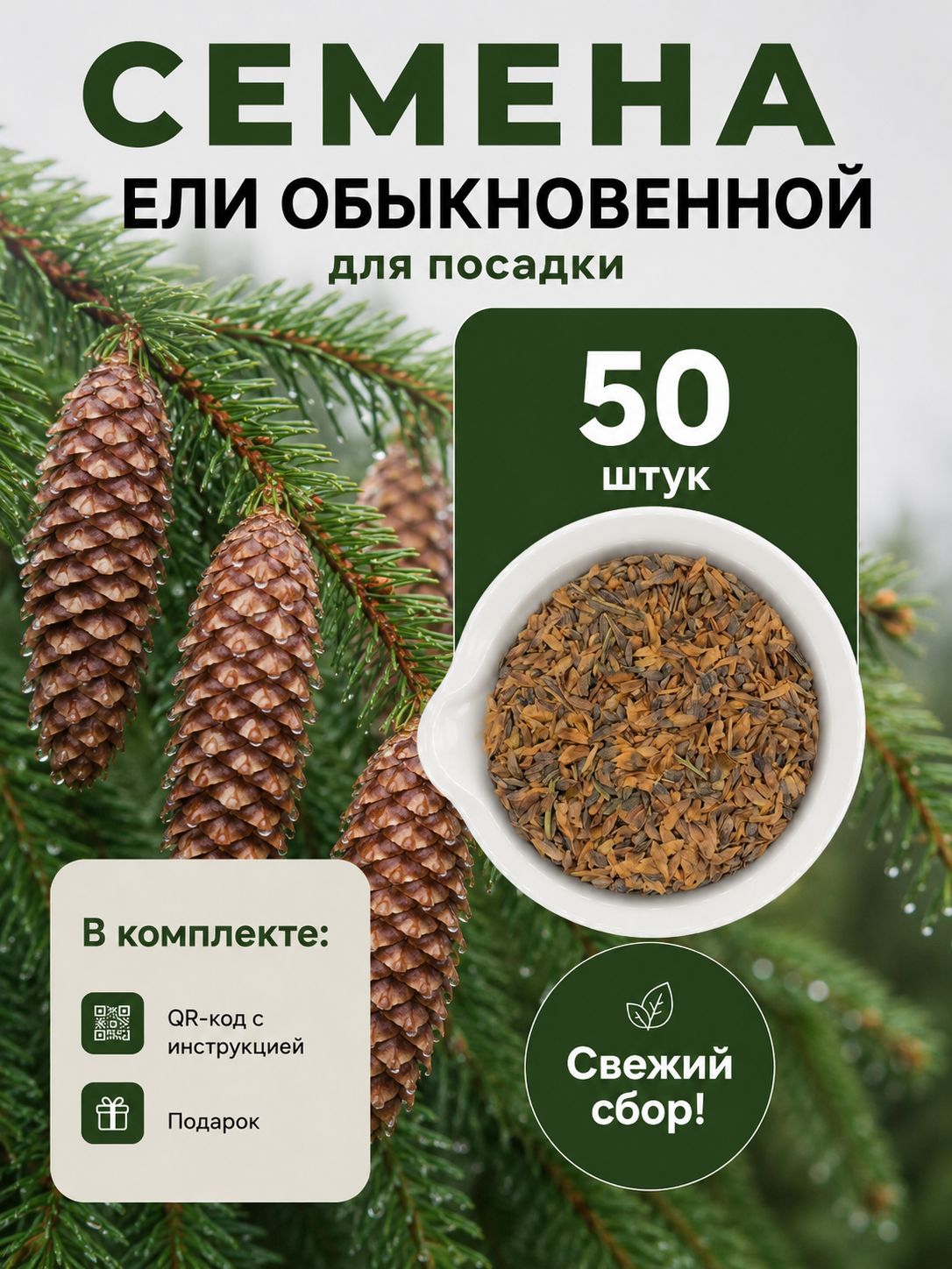 Семена Ели обыкновенной, 50 шт