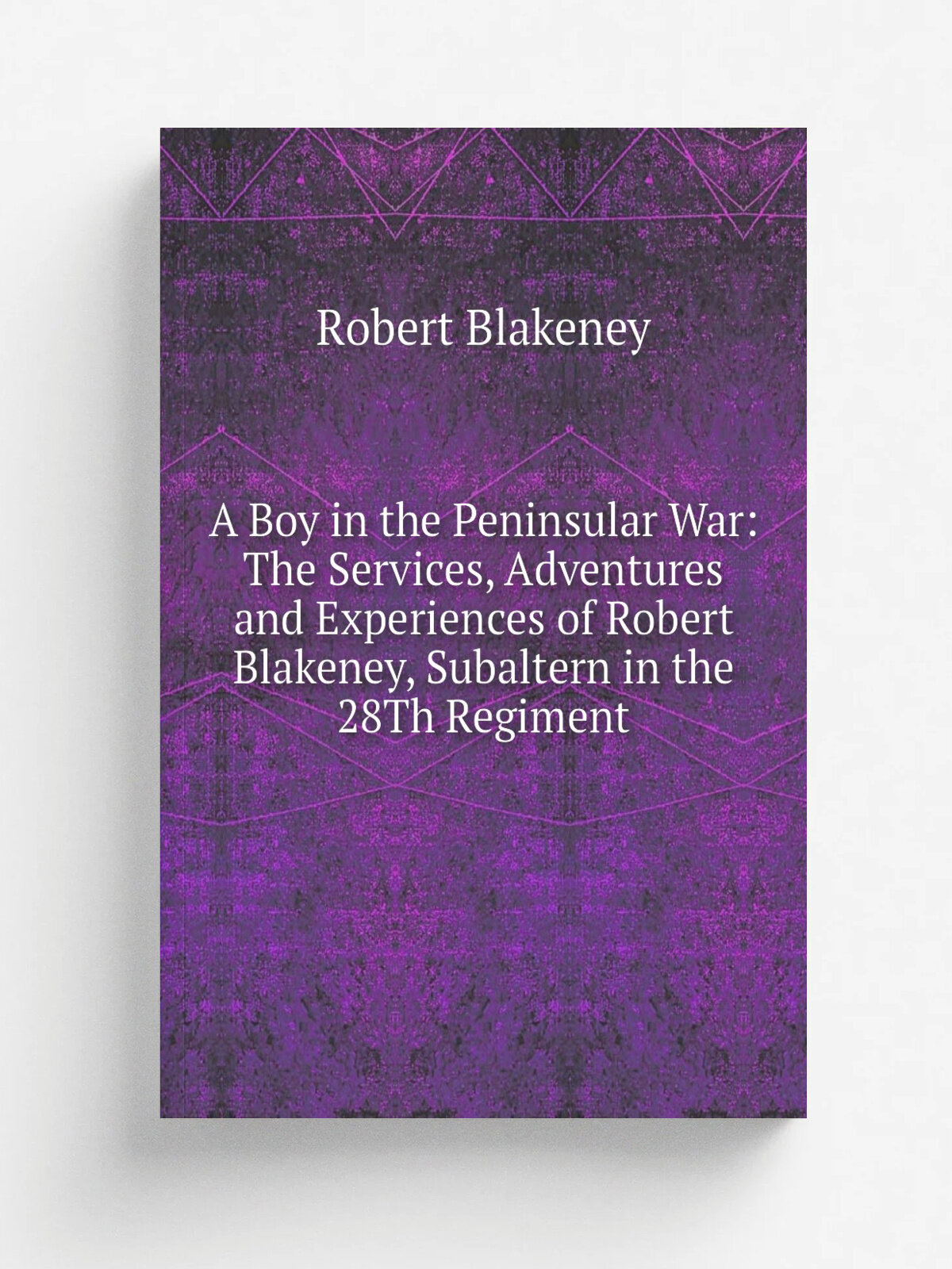 A Boy in the Peninsular War: The Services, Adventures and Experiences of Robert Blakeney, Subaltern in the 28Th Regiment