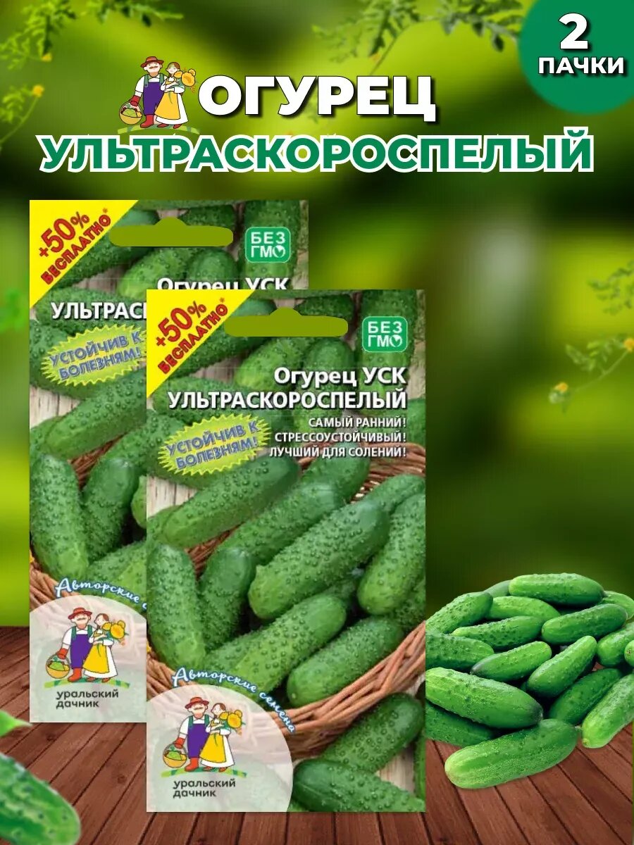 Семена Огурца Ультраскороспелый, 2 пачки по 10+5 семян