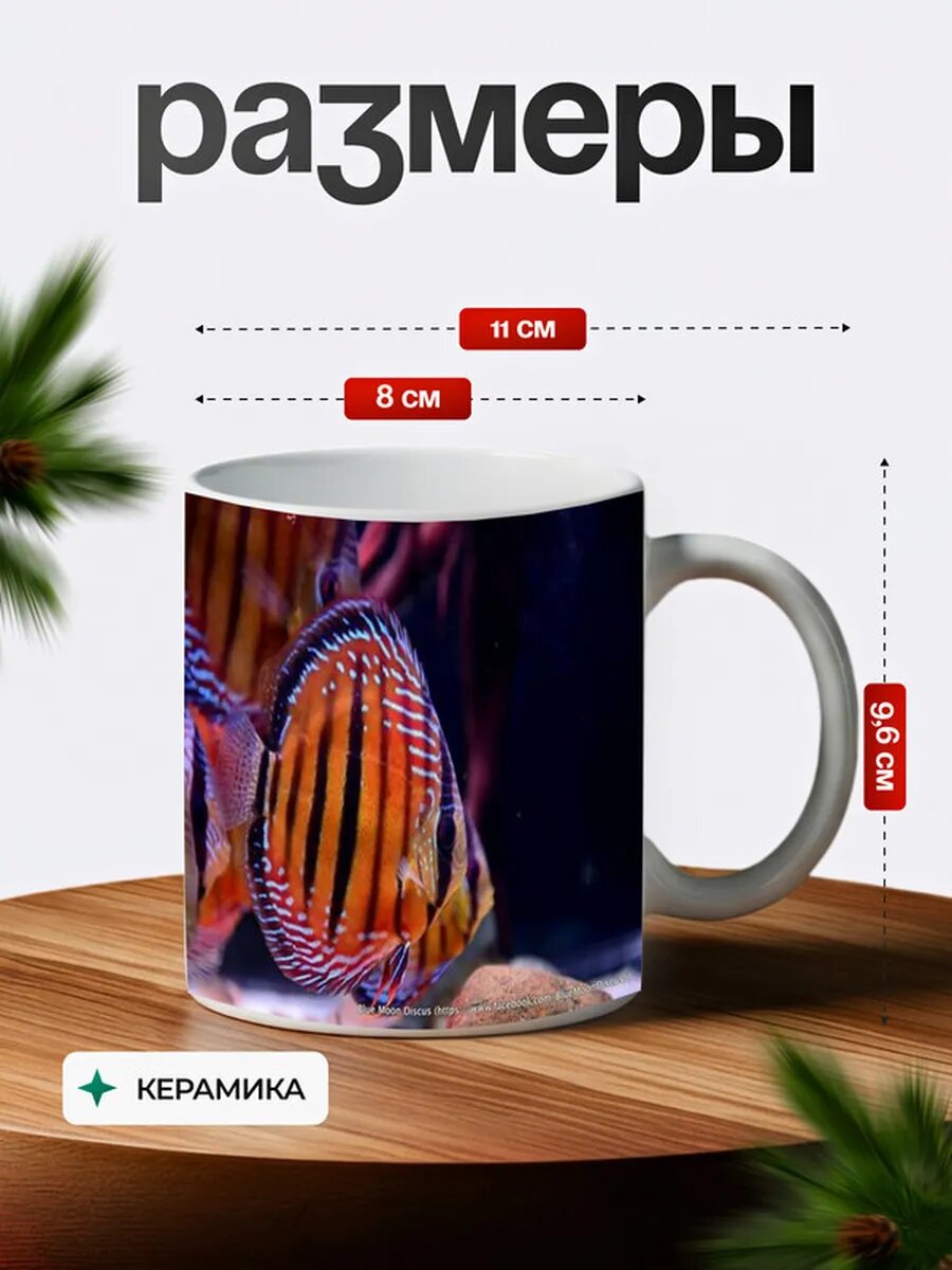 Кружка Дискус рыбка 37, — фото 1
