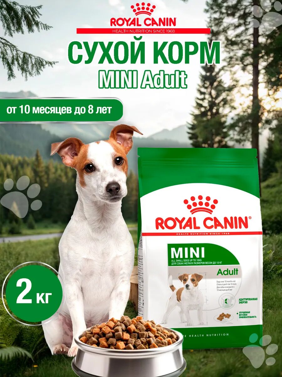 Сухой корм Royal Canin Mini Adult для собак мелких пород, 2 кг