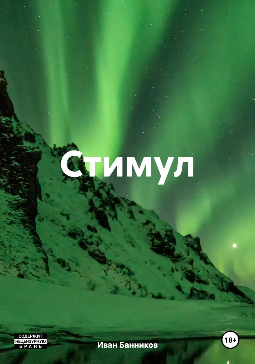 Стимул [Цифровая книга]