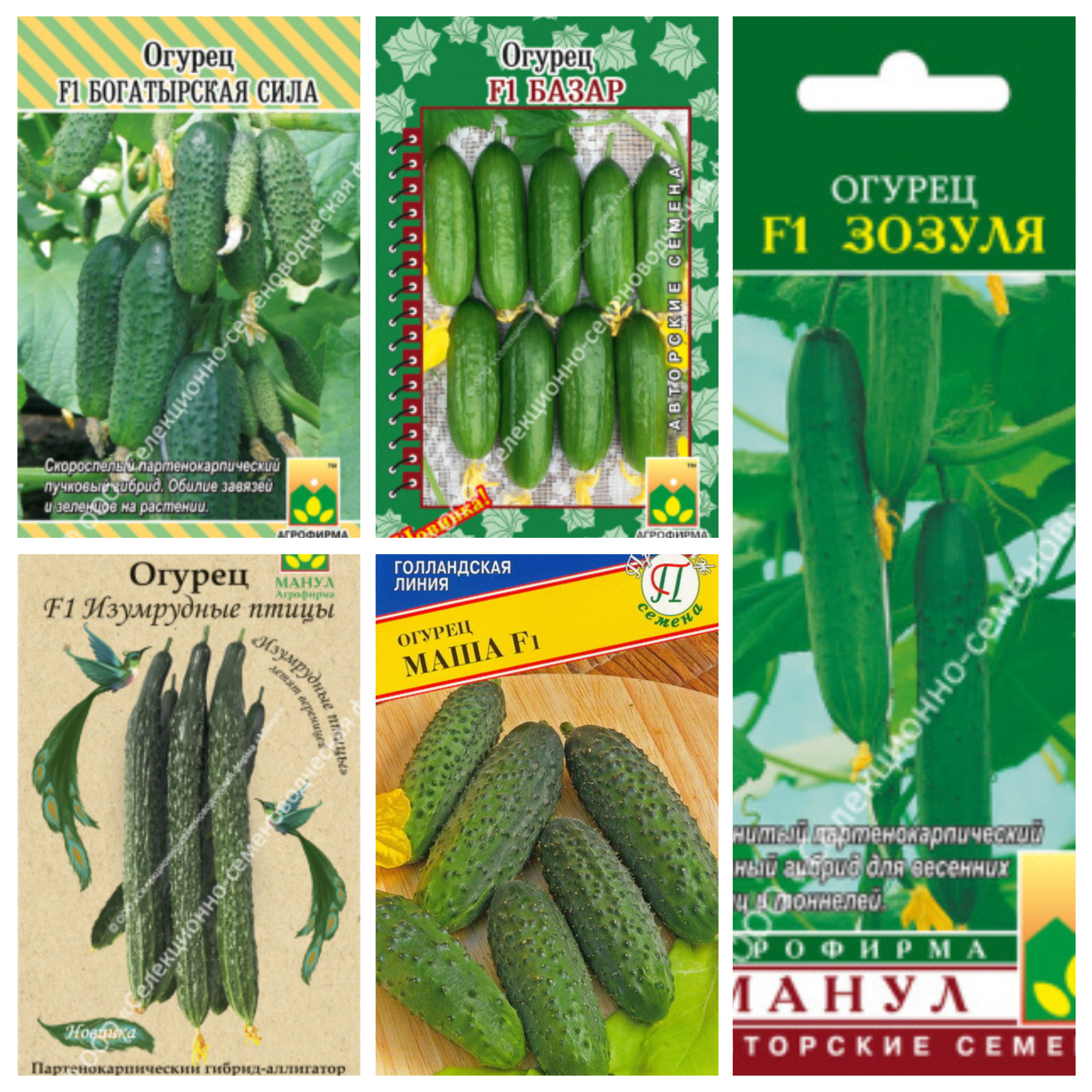 Набор семян огурца "Тепличный"(Маша F1, Изумрудные птицы F1, Базар F1, Зозуля F1, Богатырская сила F1)