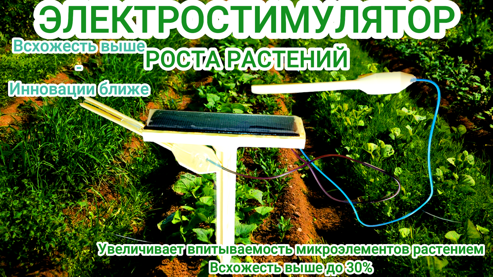 Стимулятор роста растений - электростимулятор. Не удобрение! Открывает поры клеток растения и стабилизирует потребление микроэлементов