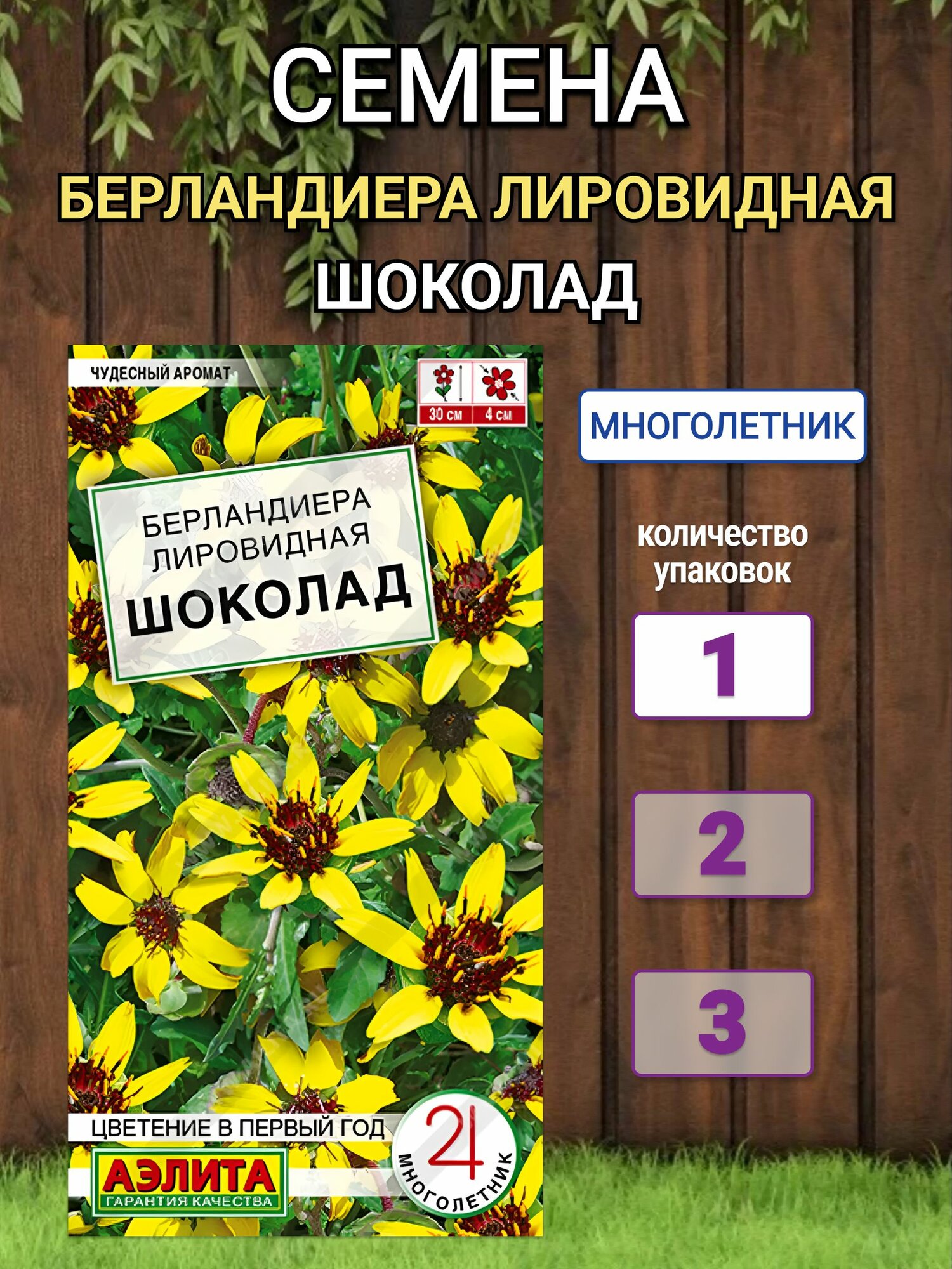 Семена многолетних ароматных цветов, Берландиера шоколад, ароматный сад - 1 шт