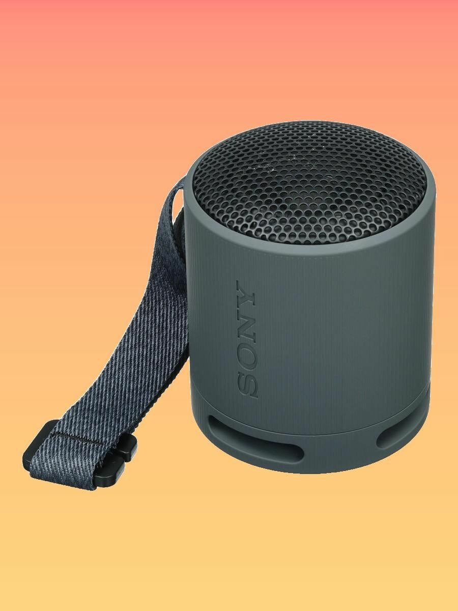Портативная колонка Sony SRS-XB100, IPX 7, Bluetooth, черный