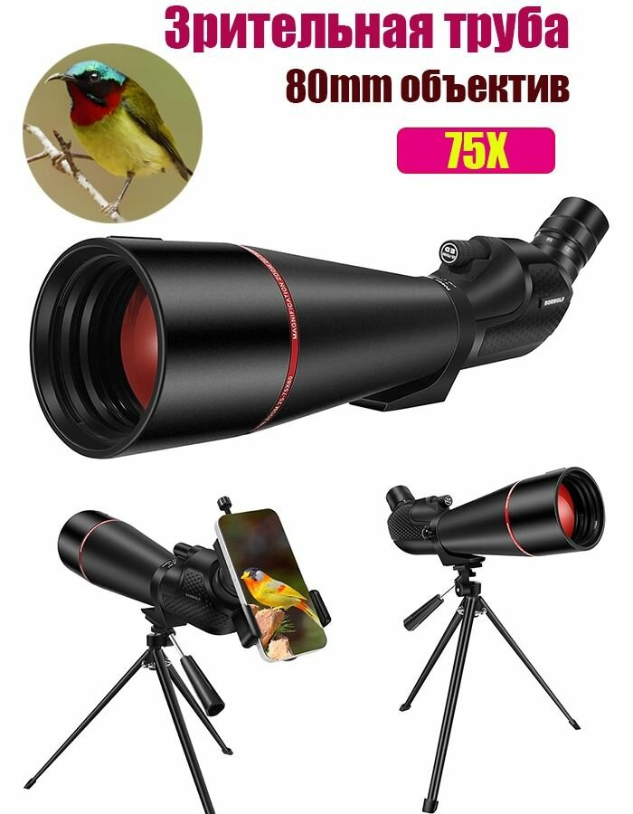 BORWOLF 25-75X80 Зрительная труба / подзорная труба / монокль , телескоп. сумка.80ММ объектив