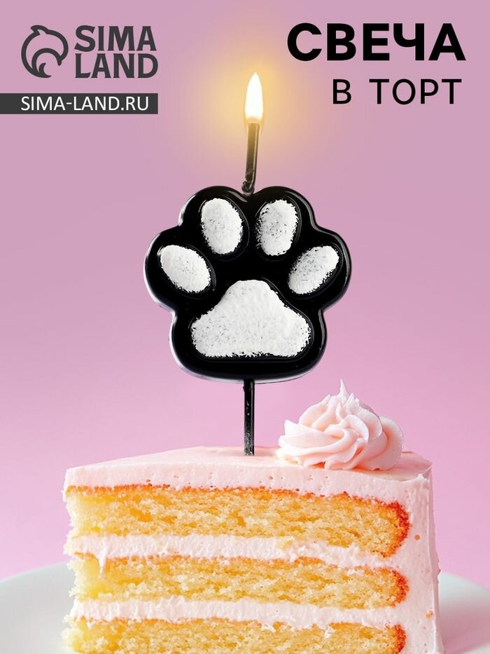 Свеча для торта на шпажке Лапка - сквиш , черно-белая