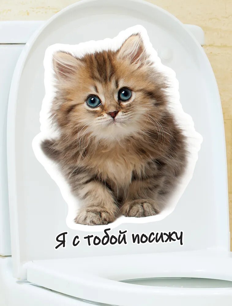 Наклейка на унитаз, в туалет, на крышку, на мебель, интерьерная.