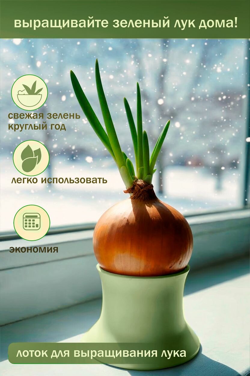 Лоток для выращивания лука на подоконнике светло-зеленый 50*70 мм