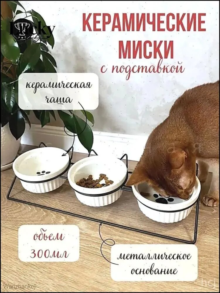 GM Миска для собак и кошек керамическая тройная