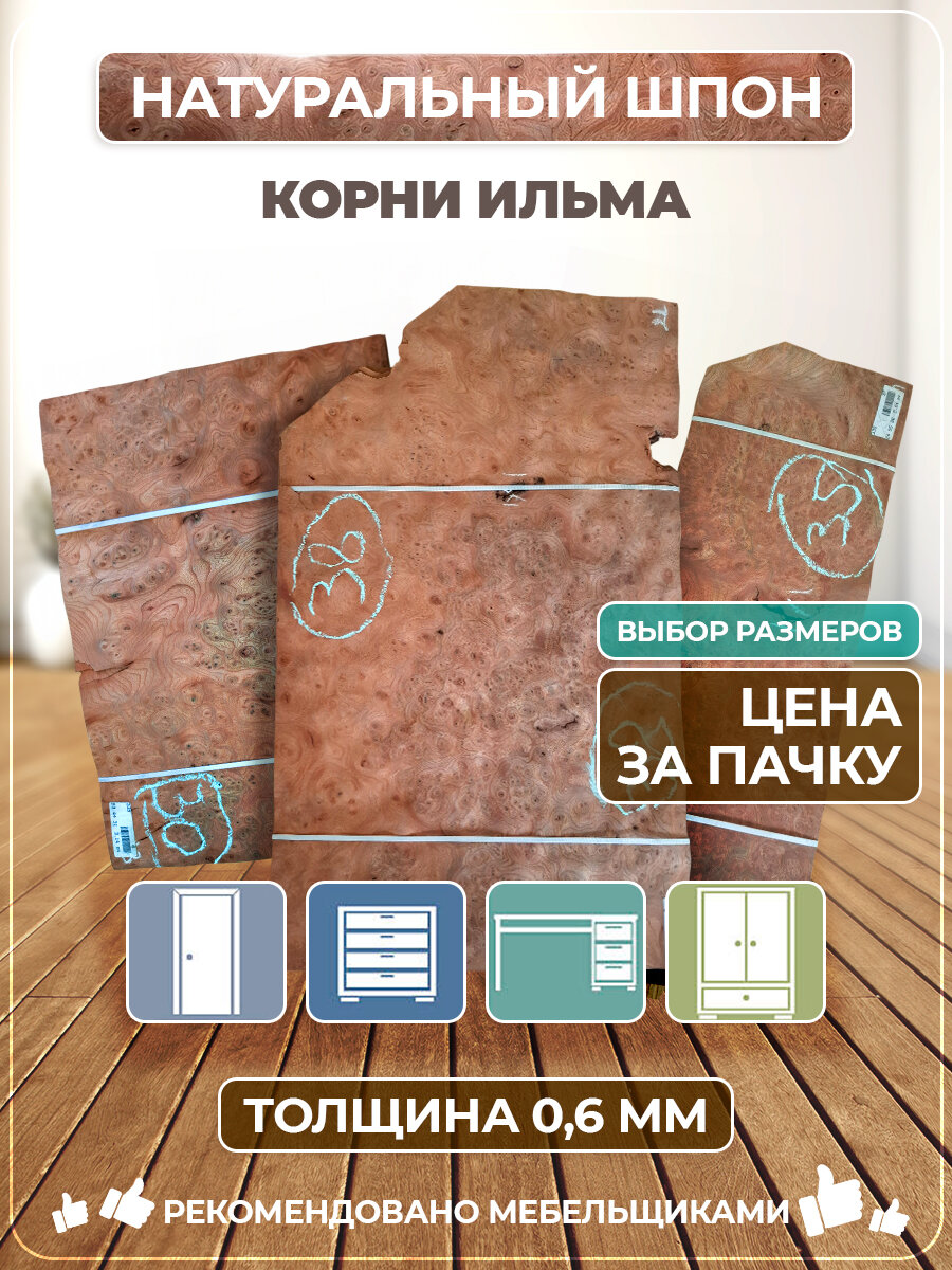 Шпон натуральный корень Ильма (Вяза) европейского 0,6 мм 500х170 - 12 листов