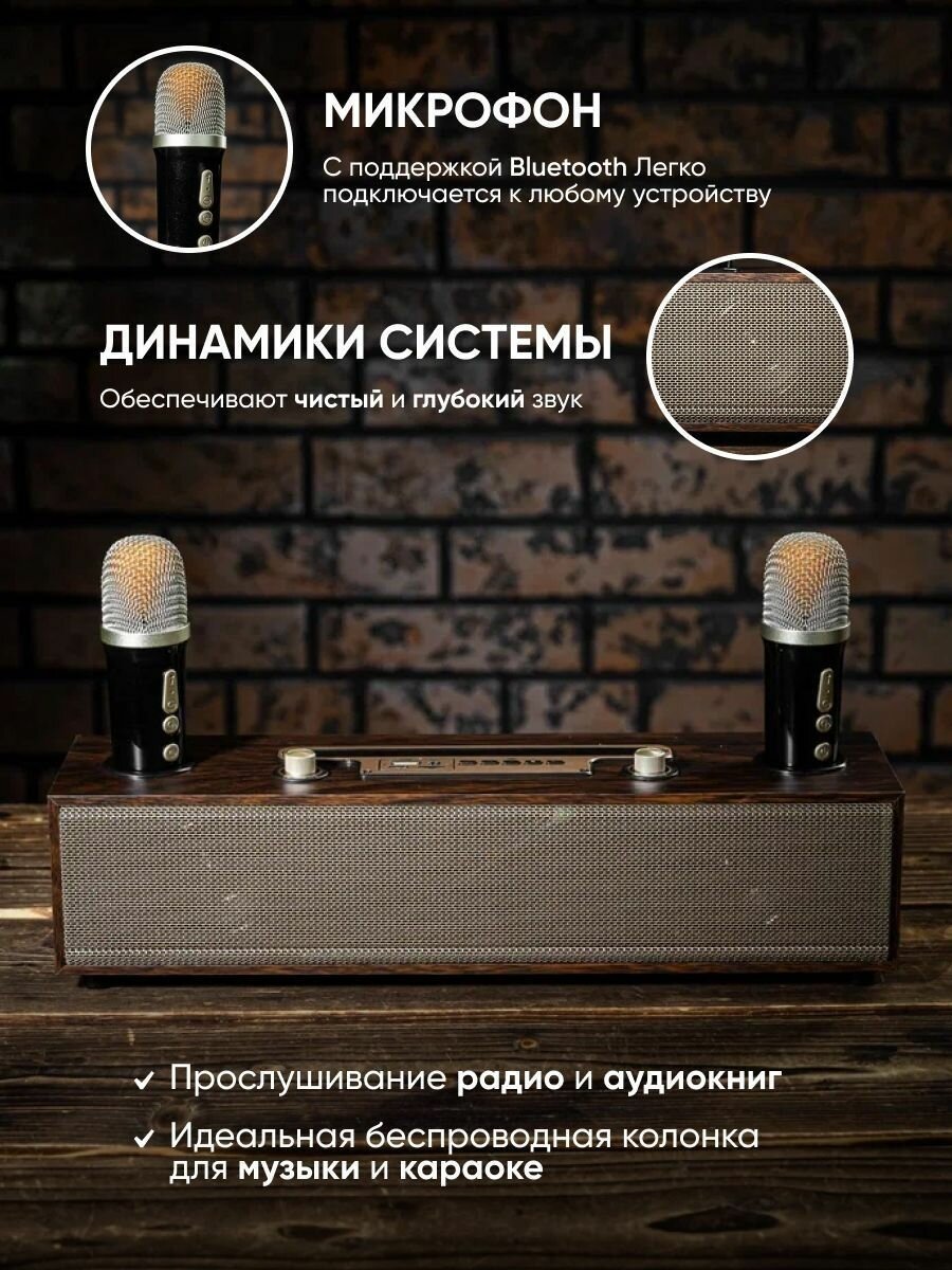 Караоке-система — фото 1