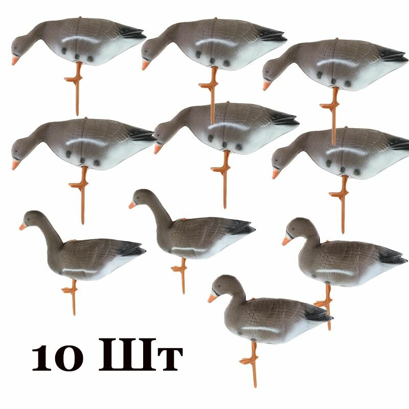 HAYCOX Чучела Гусей Белолобый Xpe 10 Шт -hz