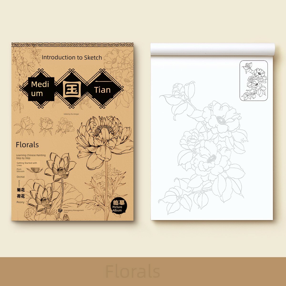 Цветочный том китайских раскрасок в стиле инь-цзяо для снятия стресса и mindful-рисования