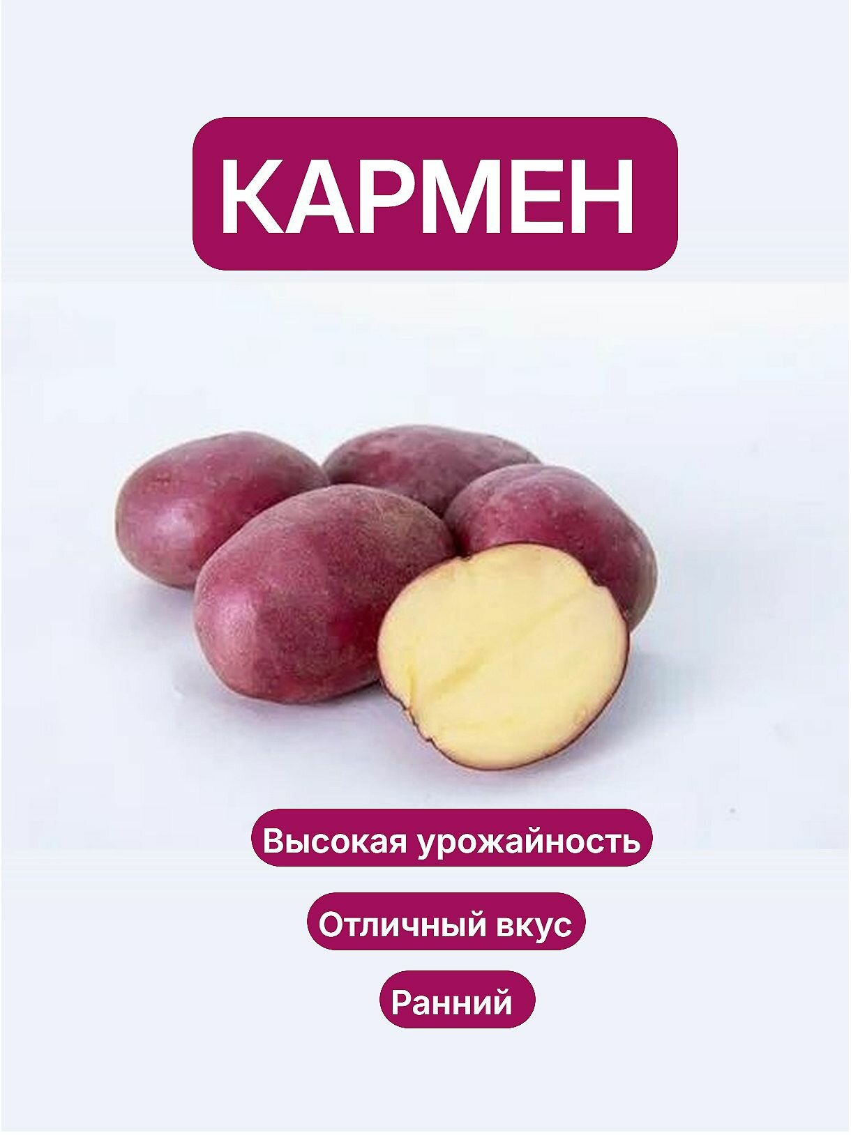 Картофель семенной клубни на посадку сорт Кармен ранний 1 кг