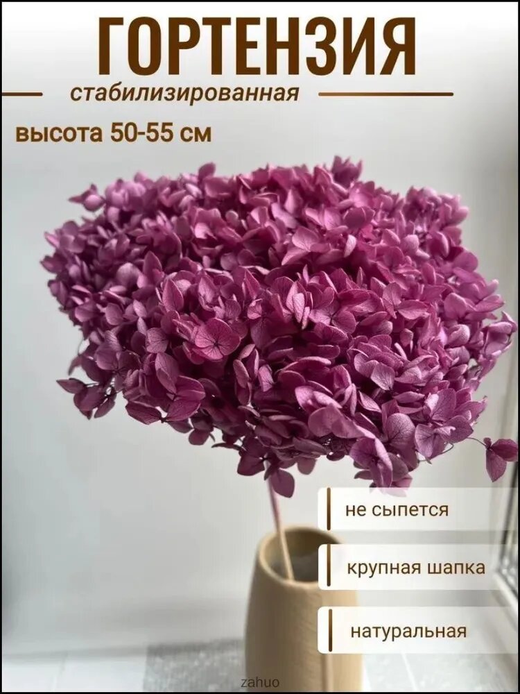 Сухоцветы Гортензия фуксия стабилизированная высота 50-55 см 300 гр 1 шт