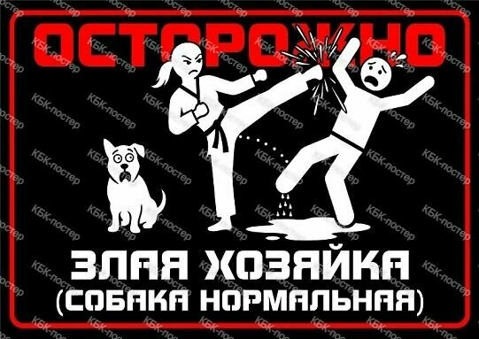 "Осторожно - злая хозяйка (собака нормальная)". 21х30 см. Техника безопасности. А4_027.