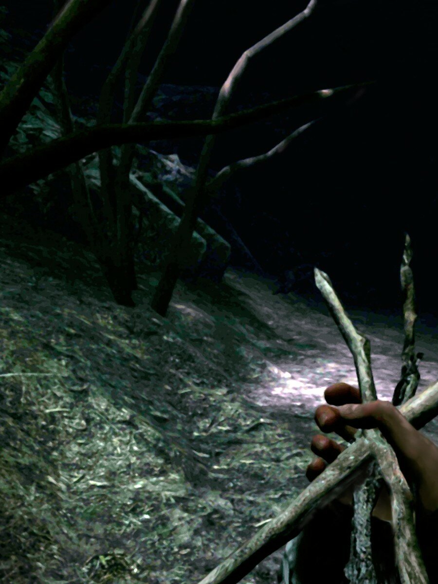 Blair Witch VR PS4 — PlayStation Store Индия, цифровая версия — фото 1