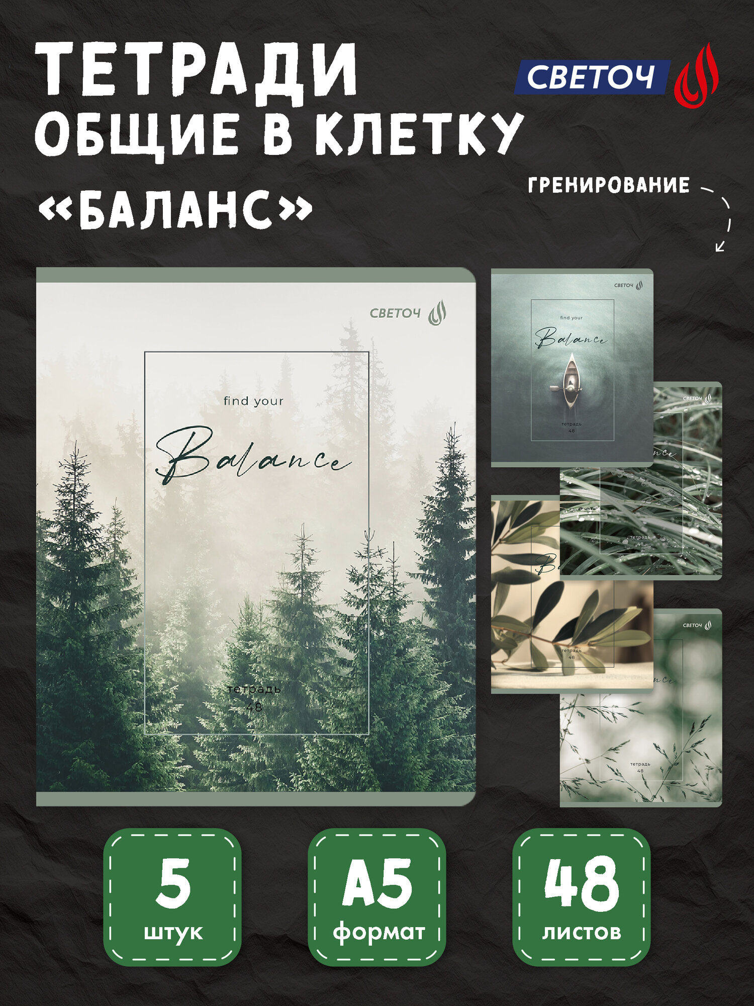 Тетрадь Светоч 48 листов в клетку 5 штук общая на скобе 01996 Баланс