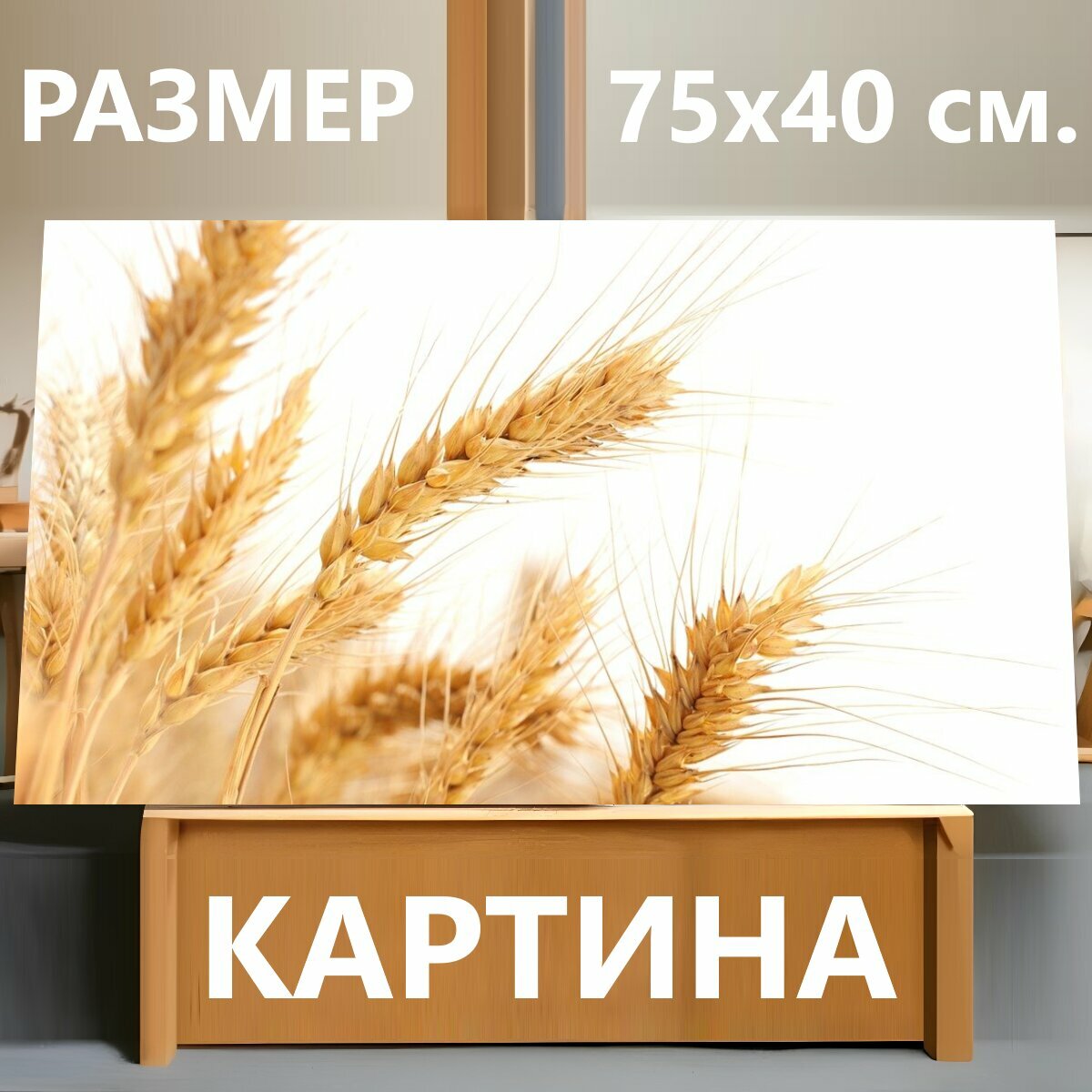 Картина на холсте "Колосья пшеницы, пшеничное поле, пшеница" на подрамнике 75х40 см. для интерьера