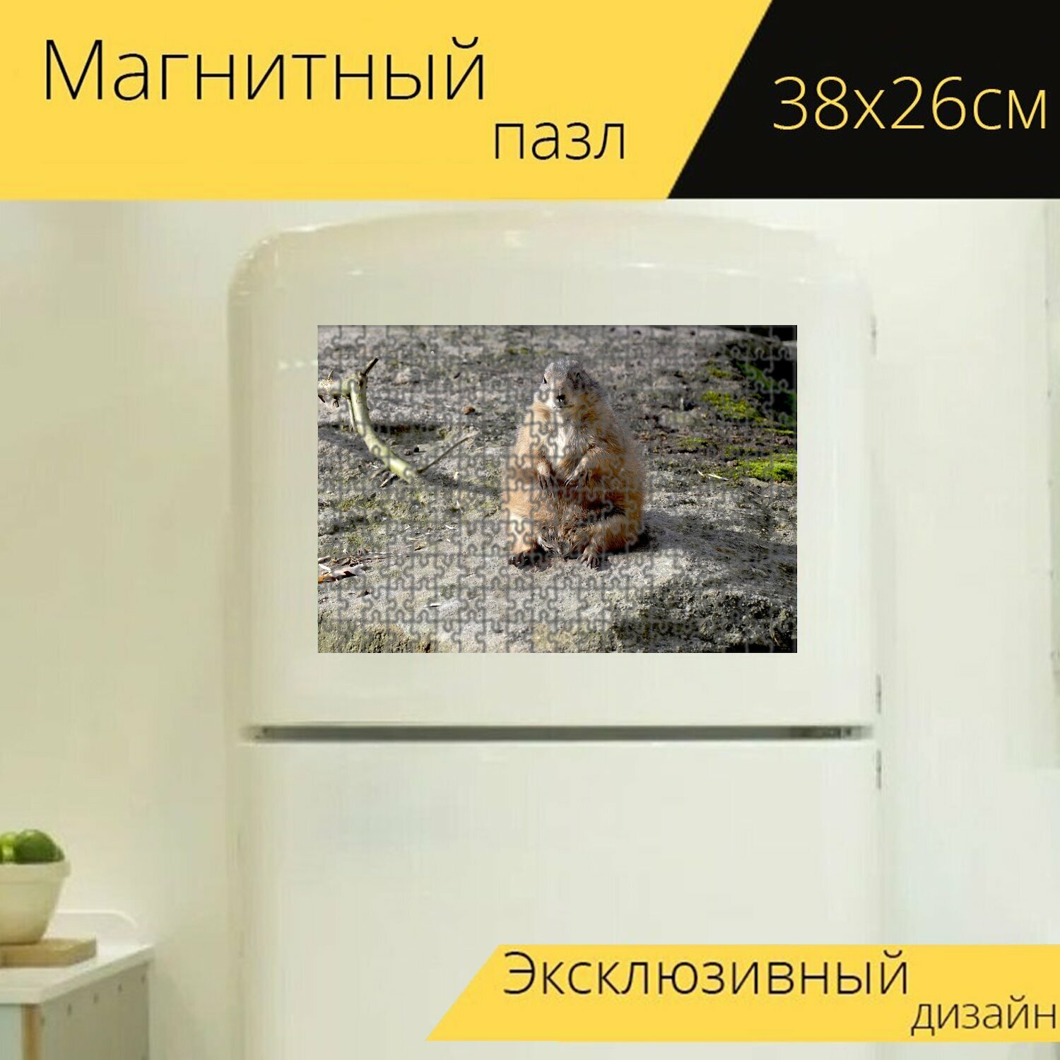 Магнитный пазл "Луговые собачки, суслик, милый" для интерьера, 38х26 см.