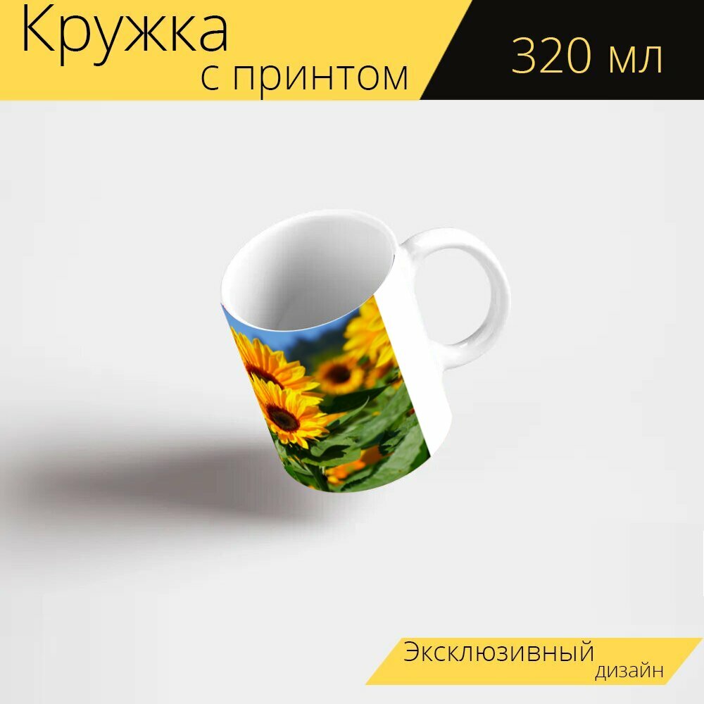 Кружка с рисунком, принтом "Подсолнухи, летом, подсолнух" 320 мл.