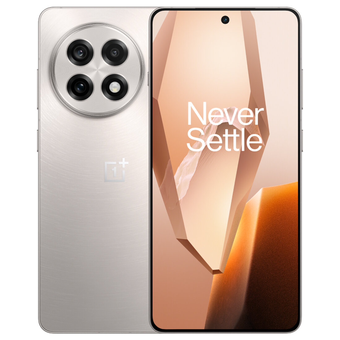 Смартфон OnePlus 13R 12/256Gb серебристый CPH2691
