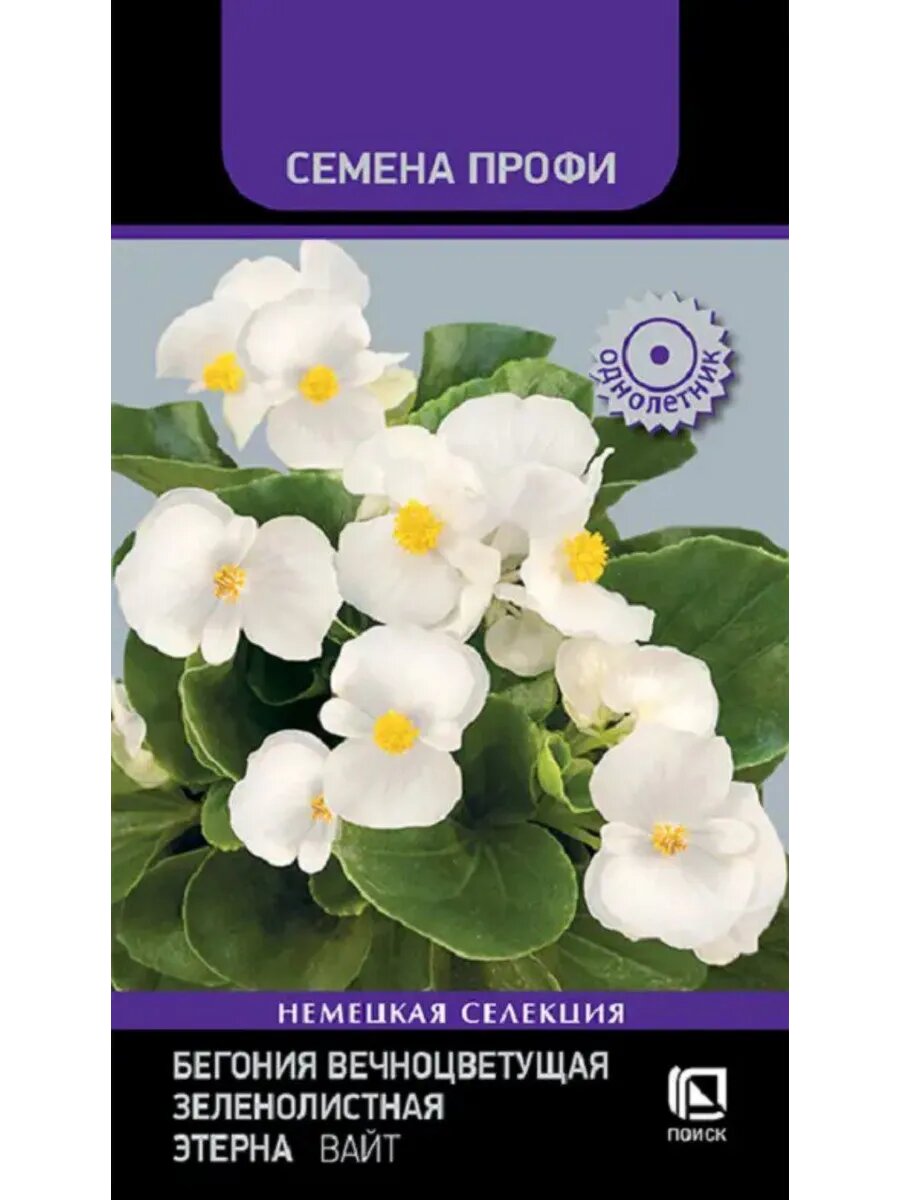 Семена Бегония вечноцветущая Этерна Вайт