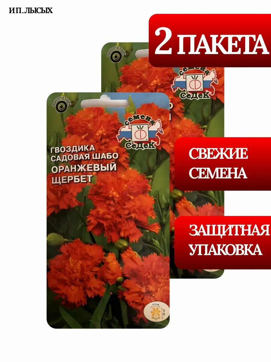 Семена Гвоздика "Оранжевый Щербет"