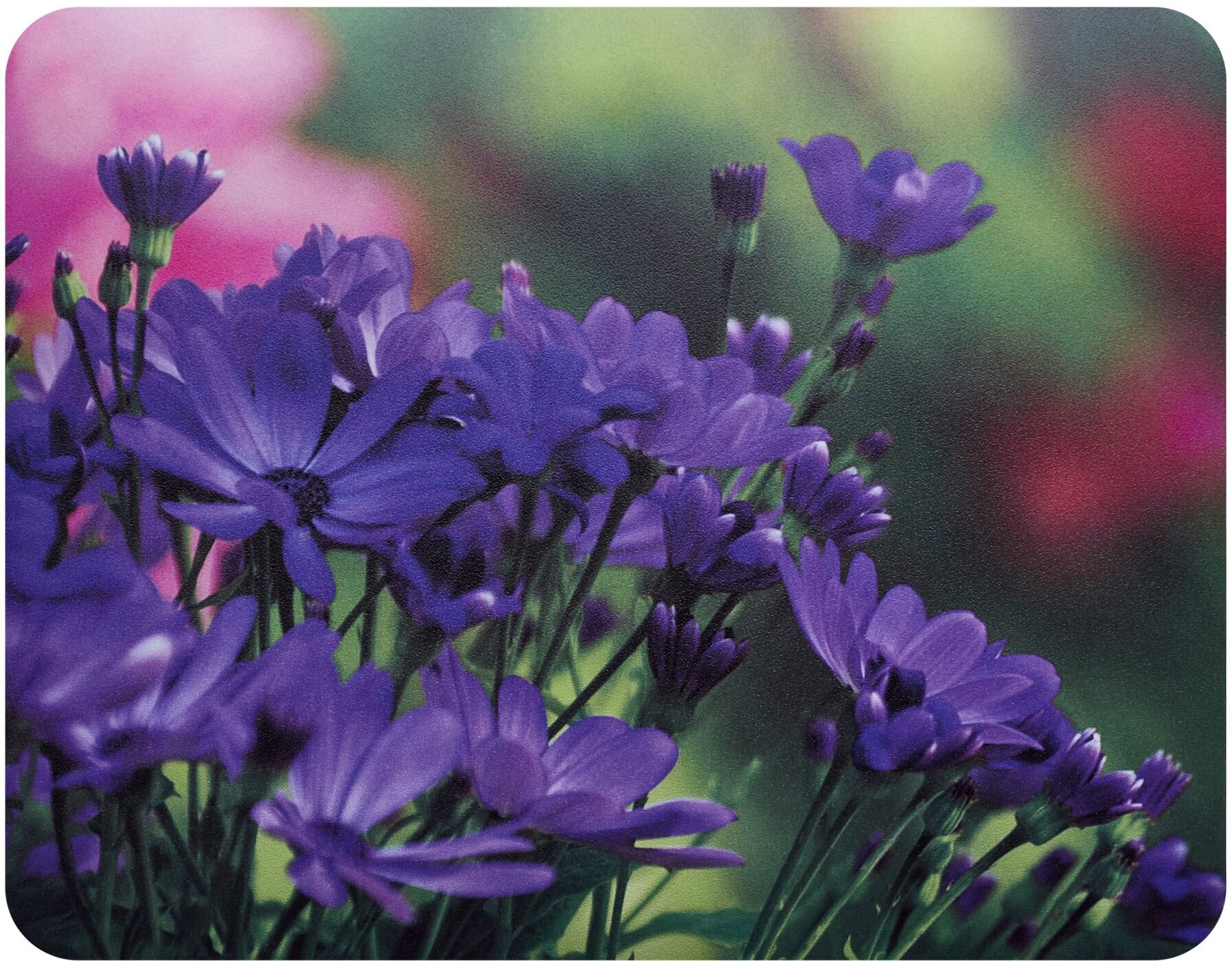 Коврик для мыши Buro BU-M20012 Мини рисунок/цветы 230x180x2мм