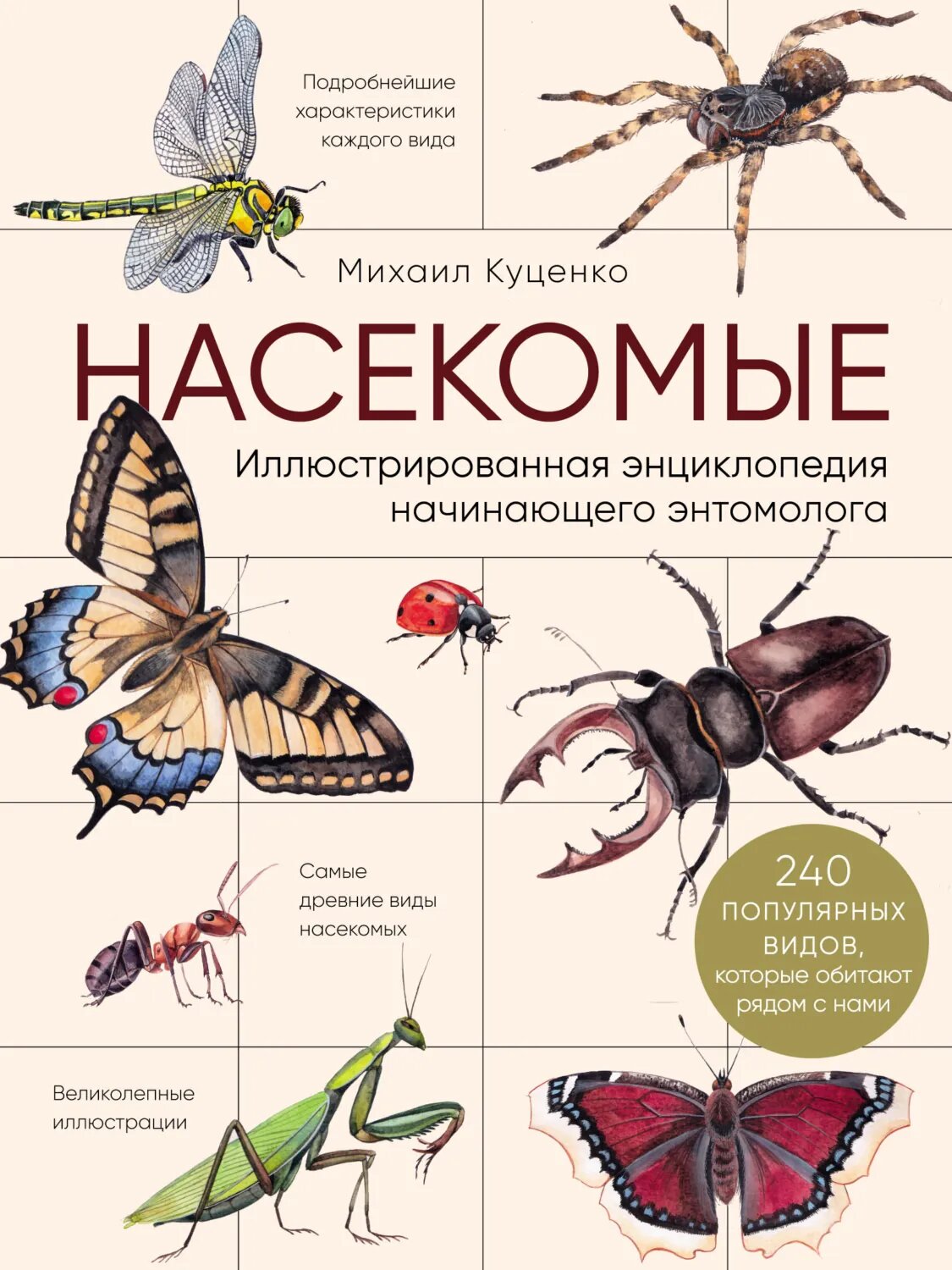 Насекомые. Иллюстрированная энциклопедия начинающего энтомолога (240 популярных видов, которые обитают рядом с нами) [Цифровая книга]