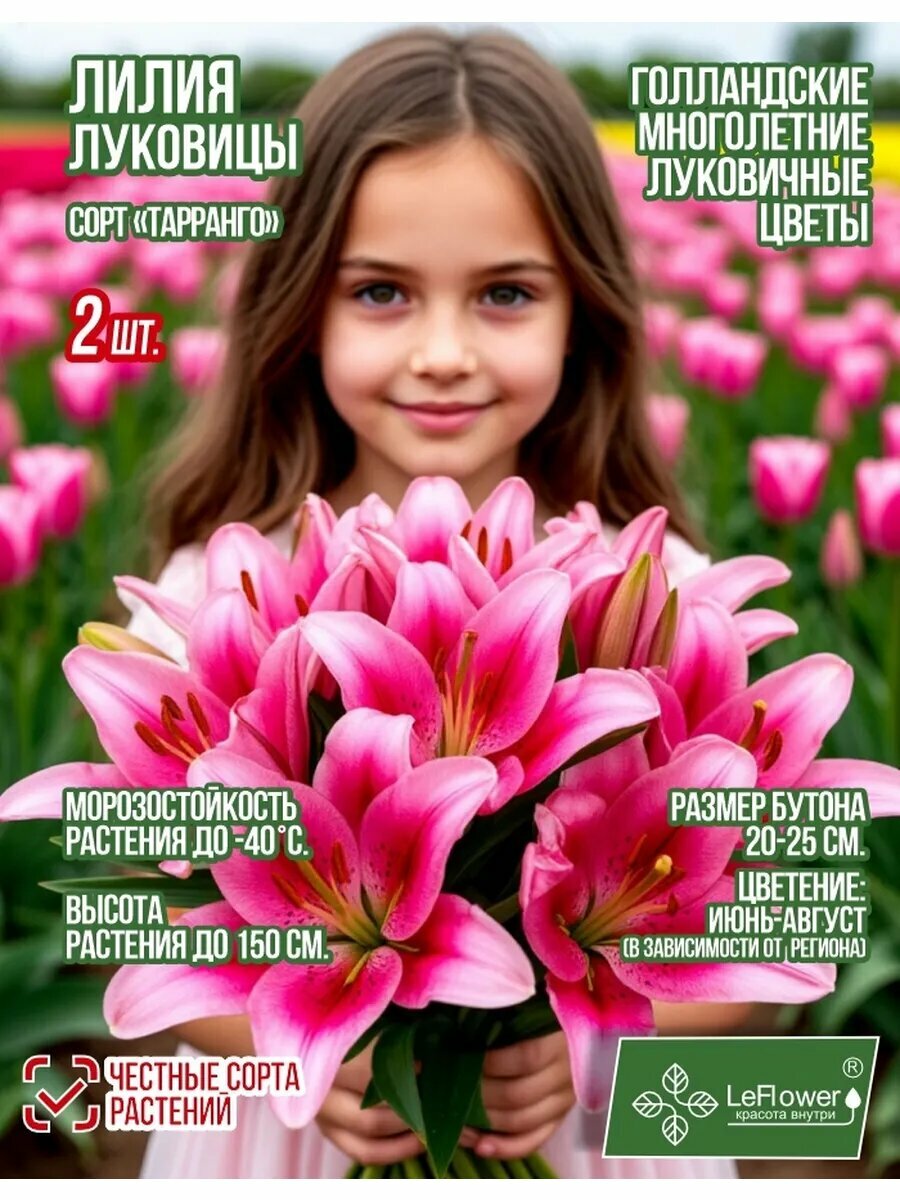 Лилия Луковица, Тарранго, 2 шт