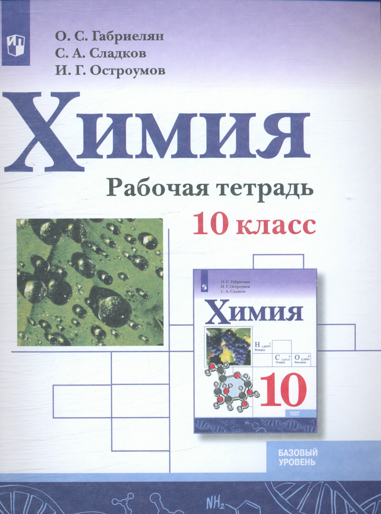 Химия. 10 класс. Базовый уровень. Рабочая тетрадь, Габриелян, (Просвещение 2025)