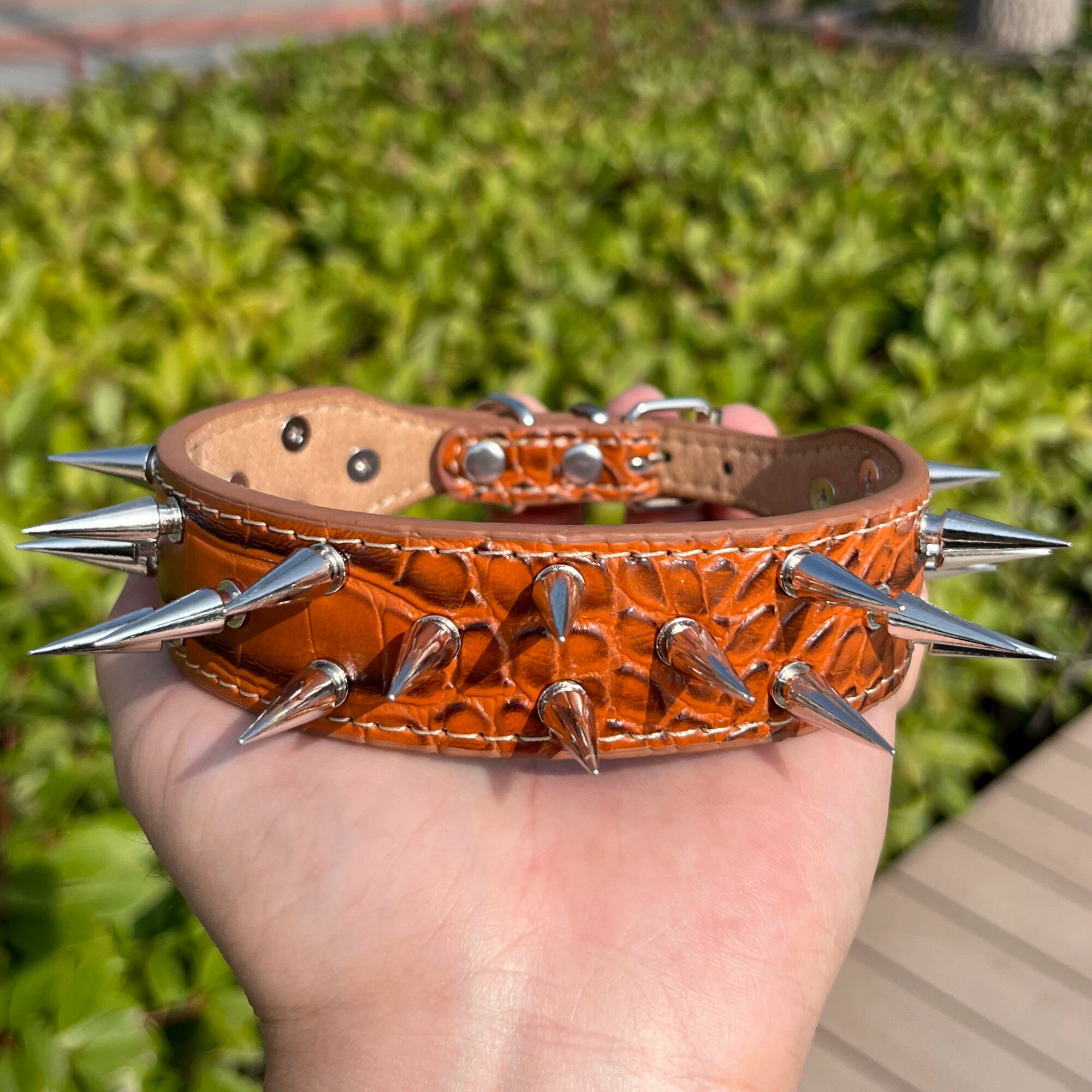 Ошейник для маленьких собак и кошек с защитой от укусов, с металлическими шипами и заклепками. Светло-коричневый