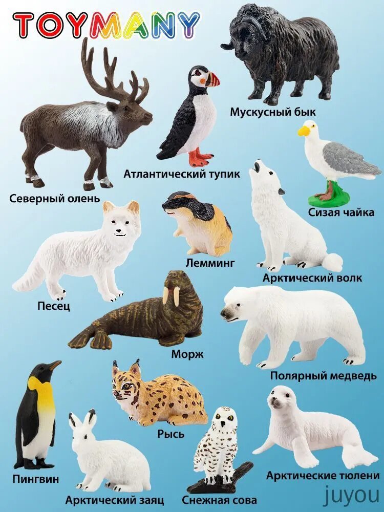 Toymany набор фигурок животных, 14шт, Маленького размера, фигурки полярных животных, подарок и украшение