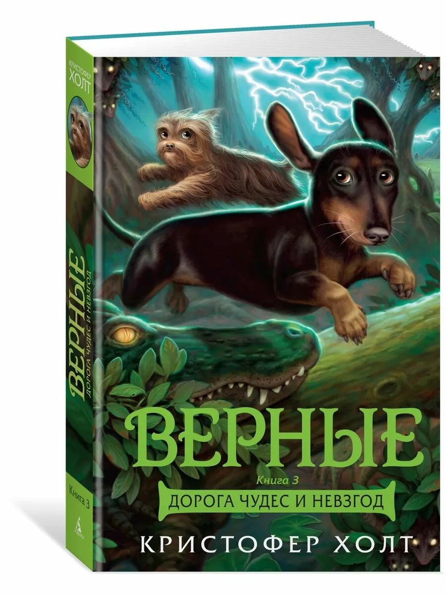 Верные. Книга 3. Дорога чудес и невзгод