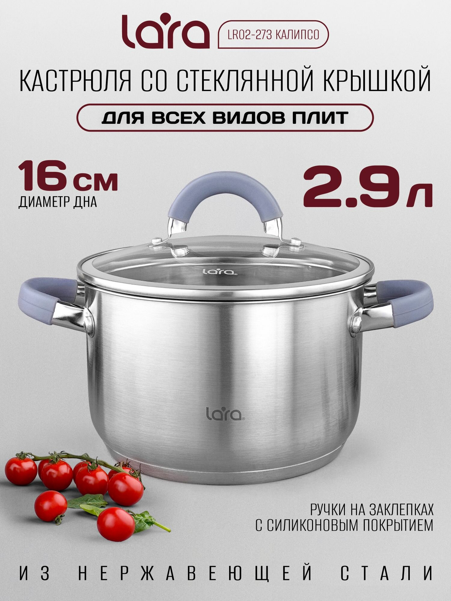 Кастрюля с крышкой 2.9 л LARA Калипсо из нержавеющей стали, для всех видов плит, в т. ч. для индукционных плит LR02-273