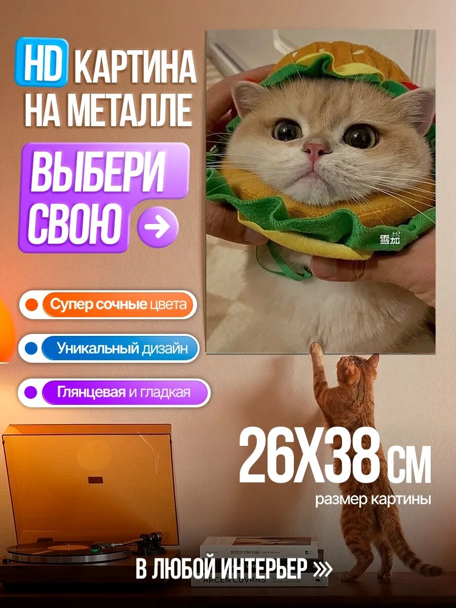 Картина на HD металле Кот в костюме бургера