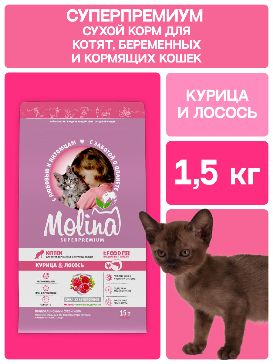 Сухой корм для котят с курицей и лососем CAT KITTEN CHICKEN WITH SALMON, 1,5 кг MOLINA
