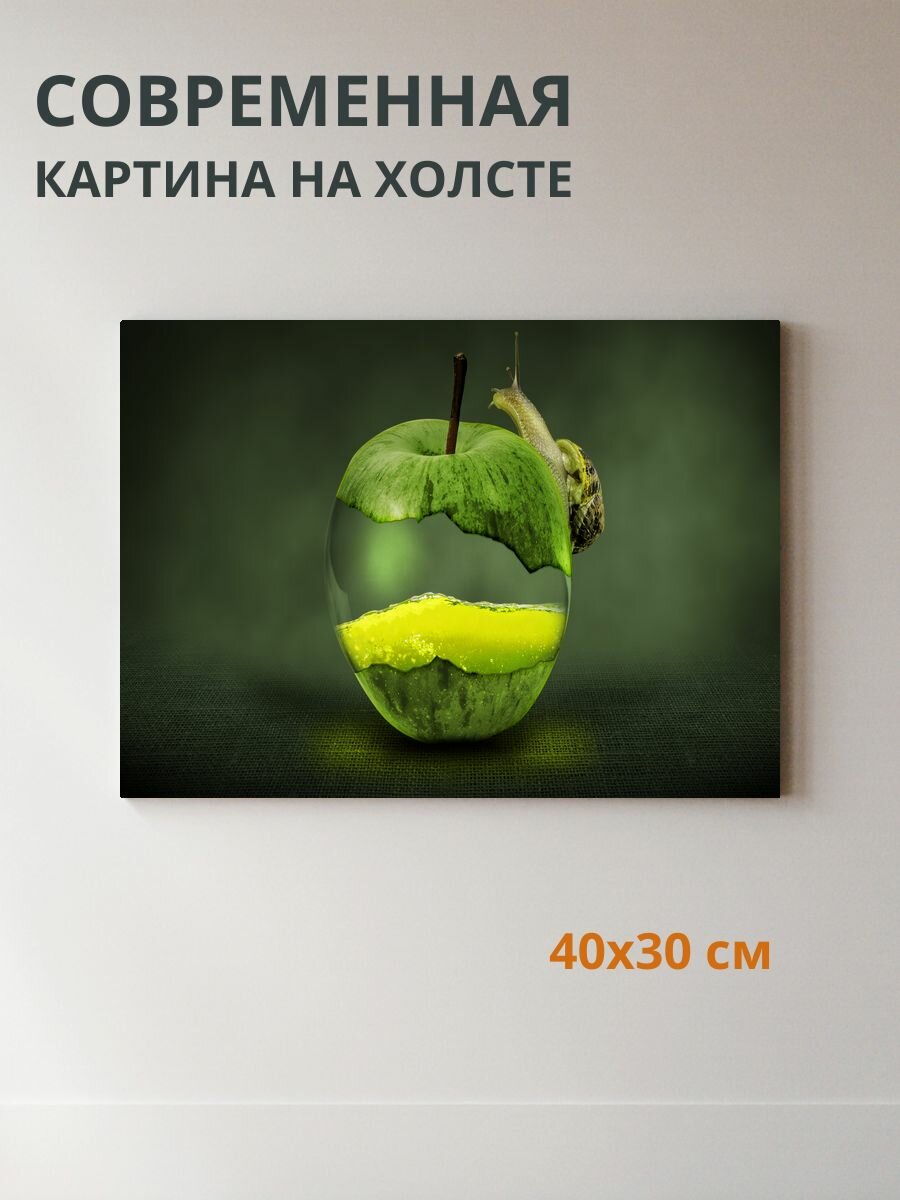 Картина на холсте Улитка на яблоке 40x30 см
