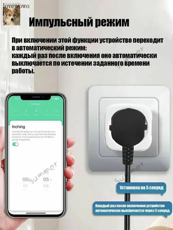 Розетка — фото 1