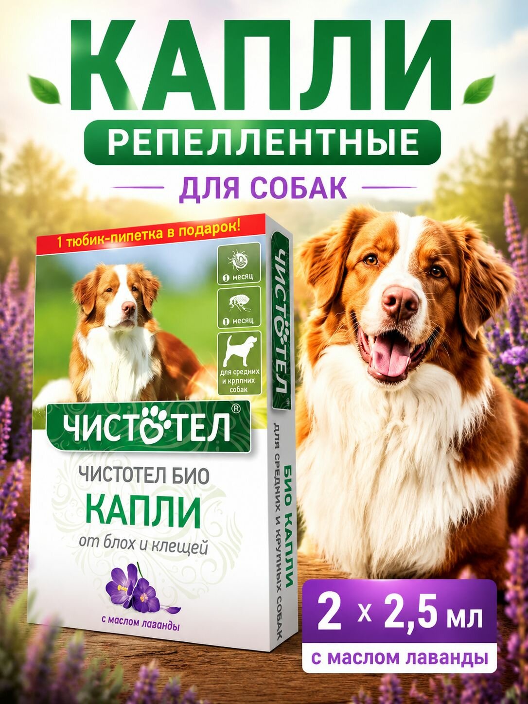 Капли репеллентные Чистотел БИО с лавандой для средних и крупных собак, упаковка 2 пипетки по 2,5 мл, натуральное фитосредство от блох, клещей и комаров
