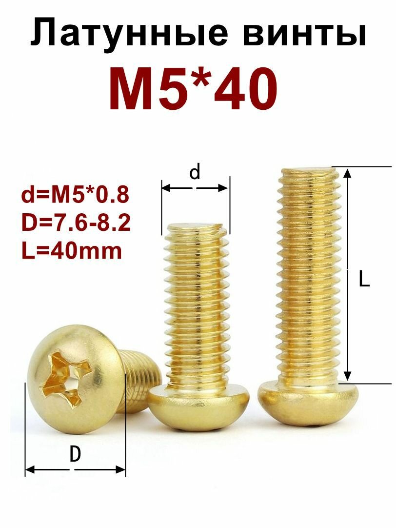 Винт M5 x 5 x 40 мм, головка: Круглая, 10 шт. болт с круглой головкой крепеж