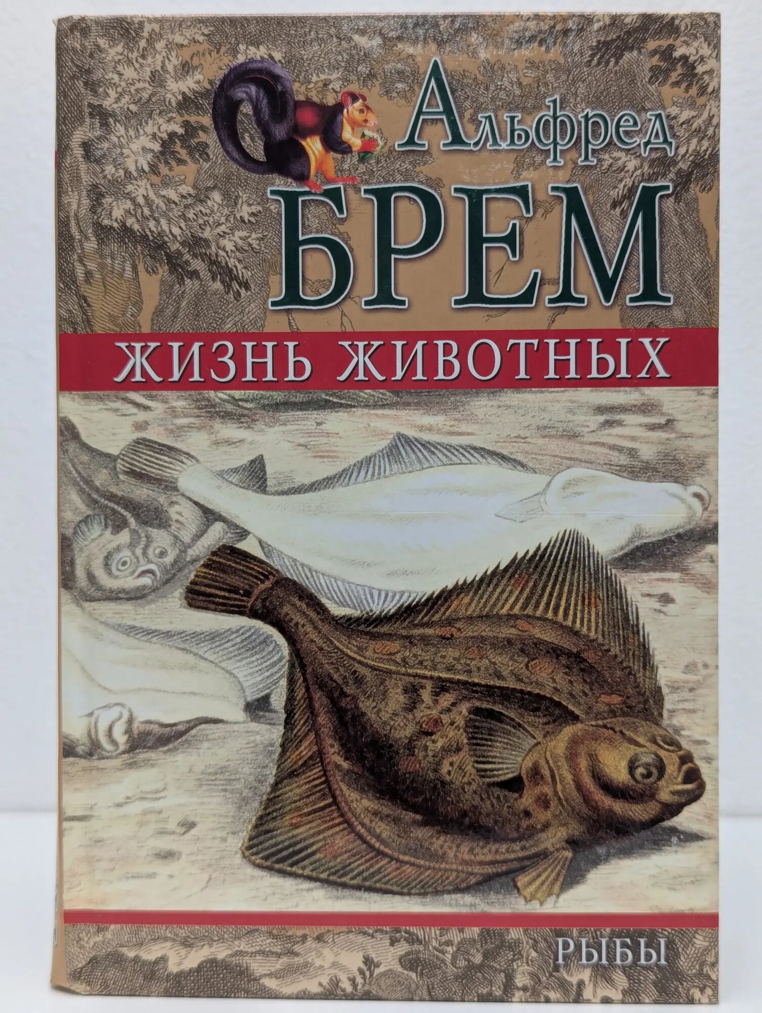 Жизнь животных. Рыбы. Том 2 Брем Альфред 2008