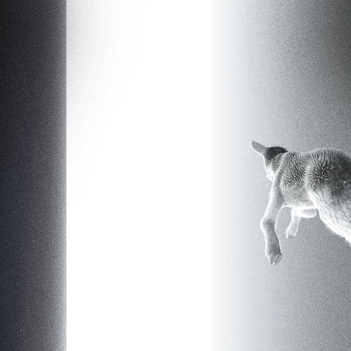 Виниловая пластинка Panoram - Keep Looking Where The Light Comes From (LP) (1 LP)