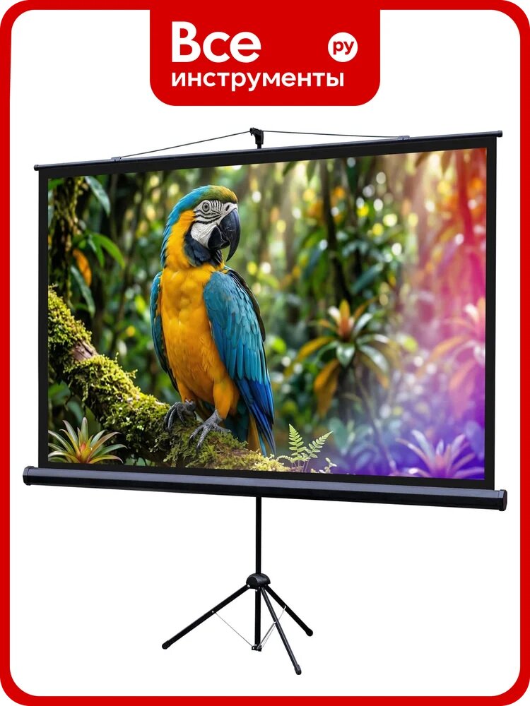 Экран на штативе Lumien LEV-100113 Eco View 110x192см (раб. область104х186 см) (84) Matte White 16:9 \3\ 155756